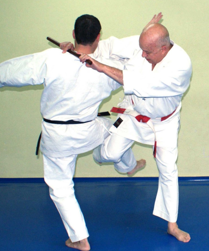 Keibo Jutsu – Bujutsu Sosei Internacional