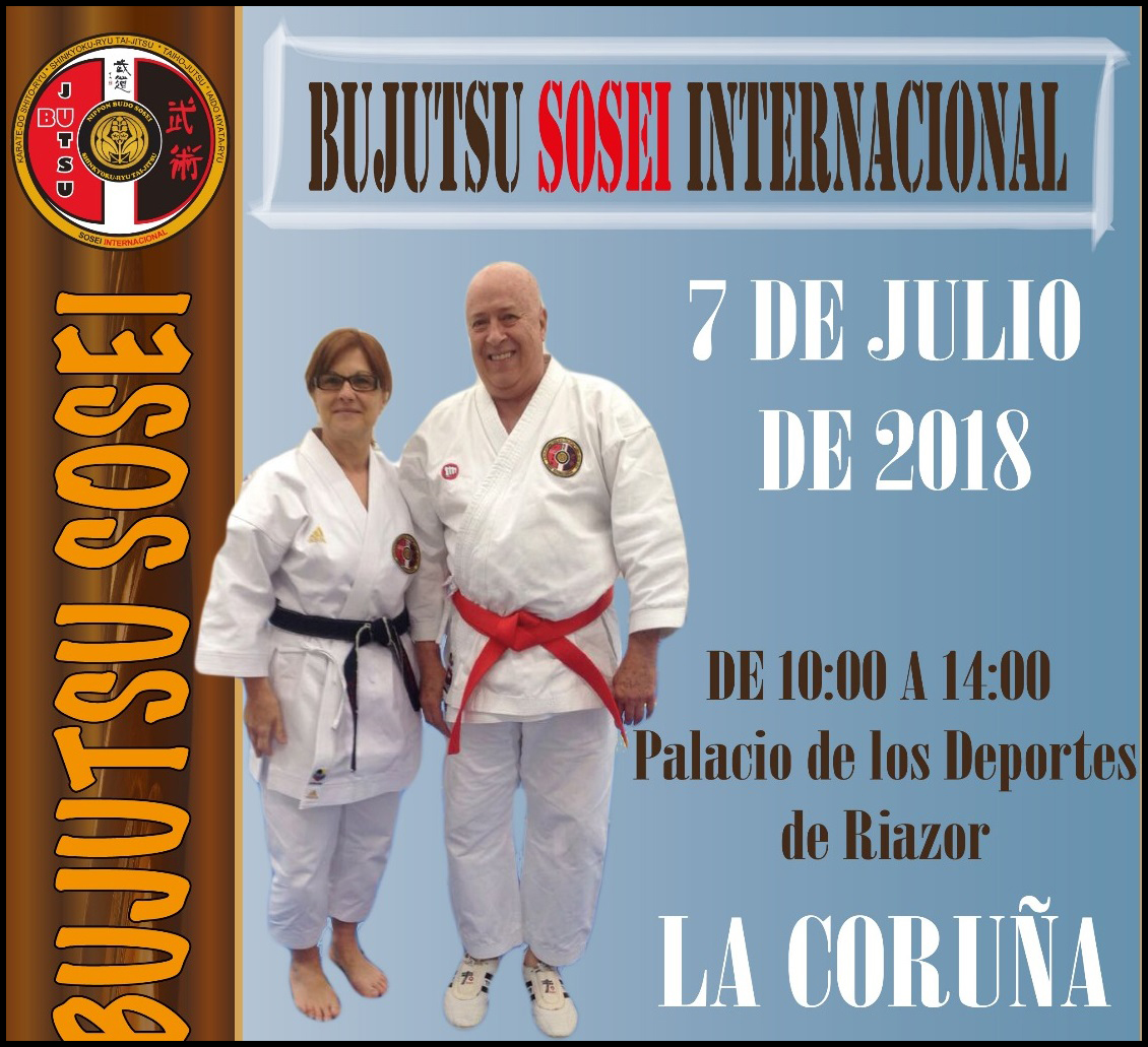 Curso de Bujutsu Sosei en «A Coruña» – Julio 2018 – Bujutsu Sosei ...