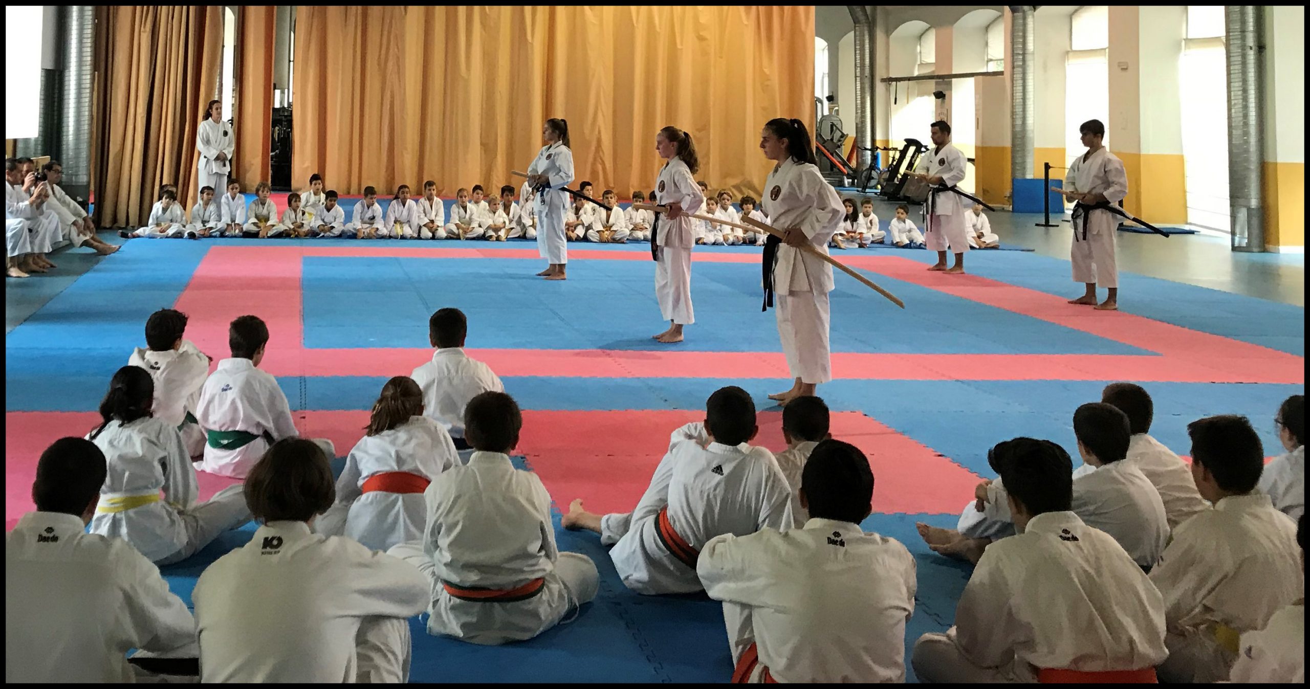 Curso de Bujutsu Sosei Infantil & F.M.Karate y D.A – Octubre 2018 ...